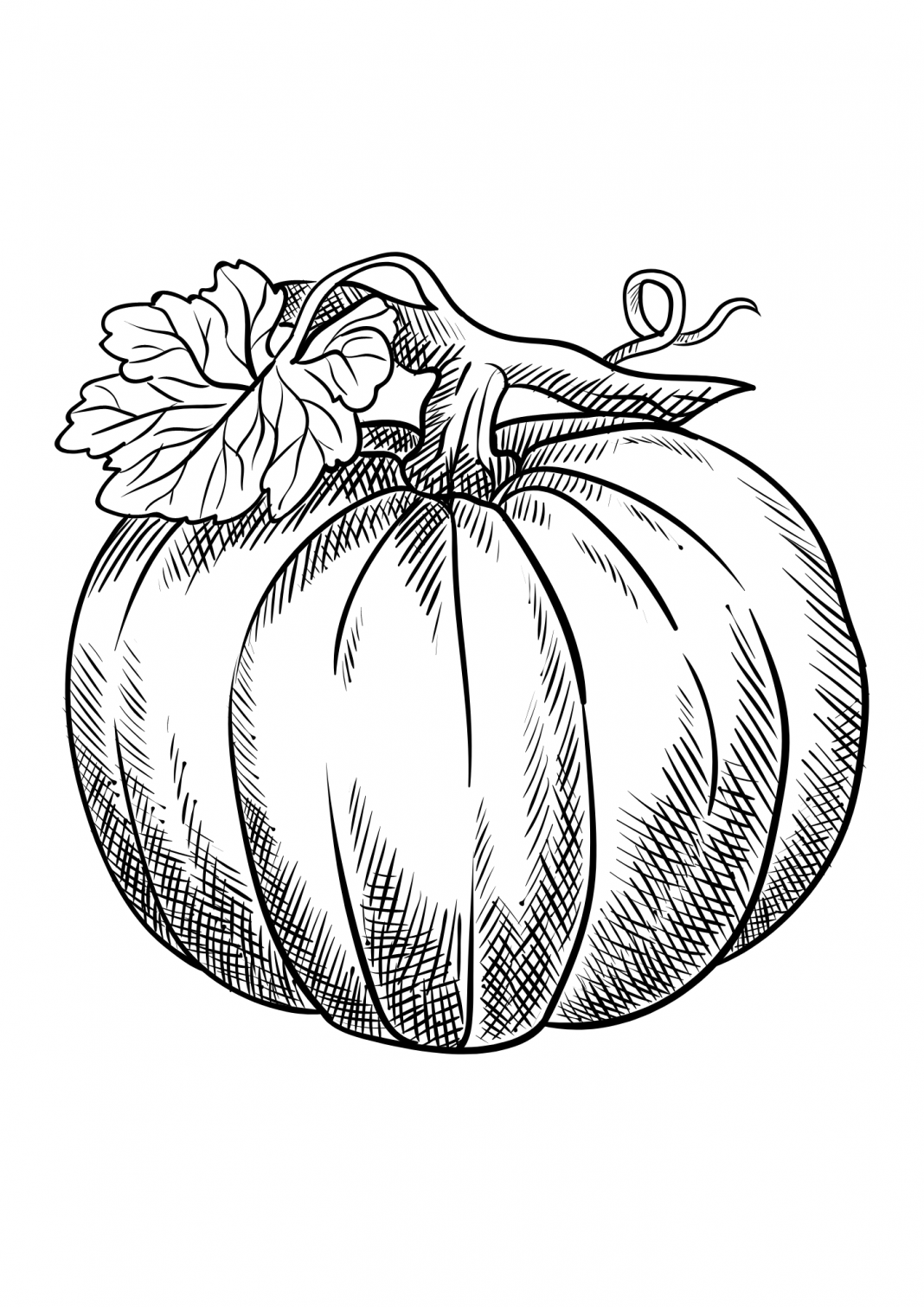 Kolorowanki jesienne - darmowe do wydruku - Mamy-mamom.pl