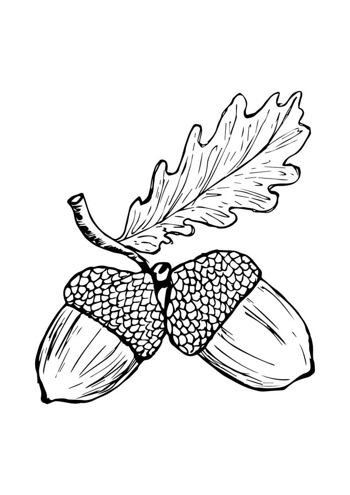 Kolorowanki jesienne - darmowe do wydruku - Mamy-mamom.pl