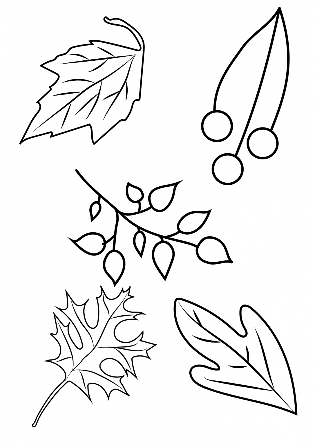 Kolorowanki jesienne - darmowe do wydruku - Mamy-mamom.pl